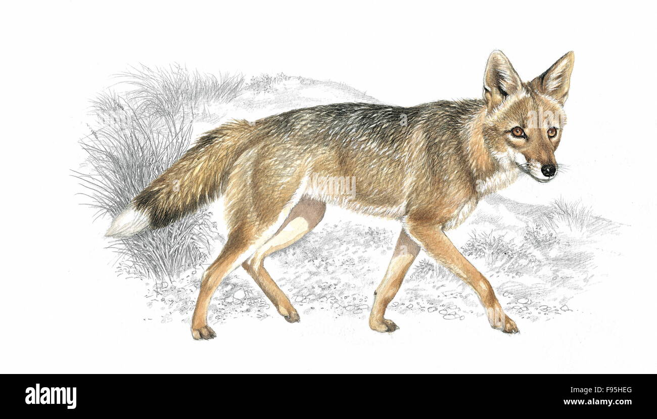 Endangered islands Cut Out Stock Images & Pictures - Alamy