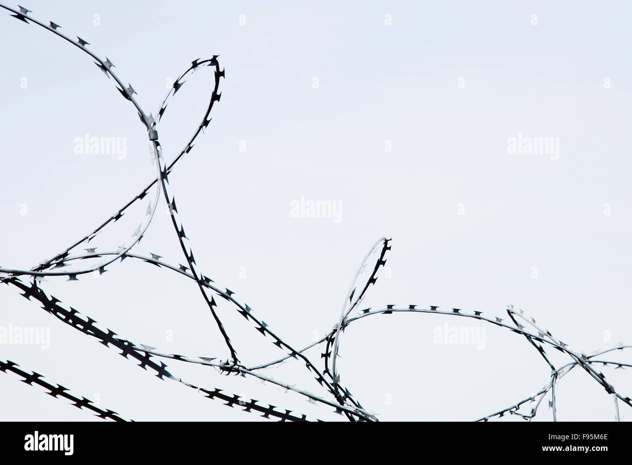 close up shot of Barbed Wire on top of a fence Stock Photo - Alamy