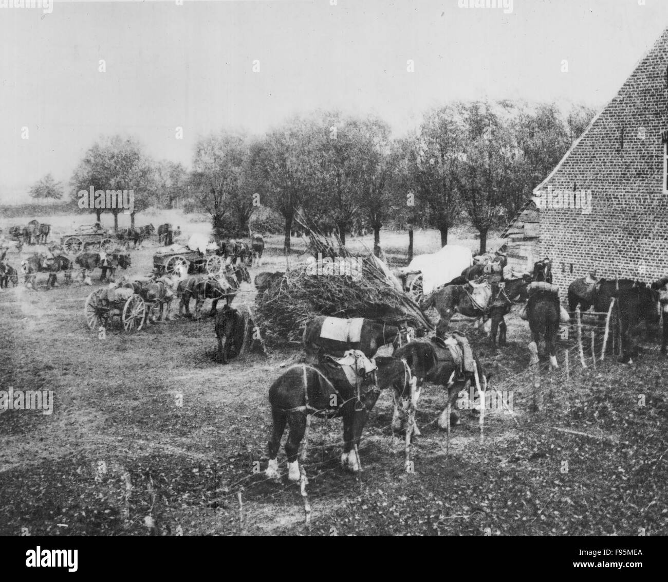 First battle of ypres 1914 Black and White Stock Photos & Images - Alamy
