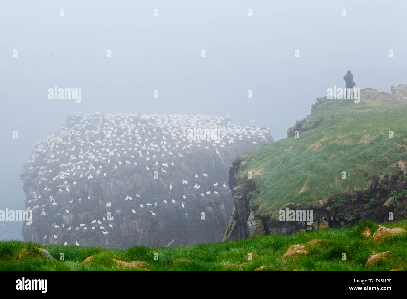 3034 Years High Resolution Stock Photography and Images - Alamy