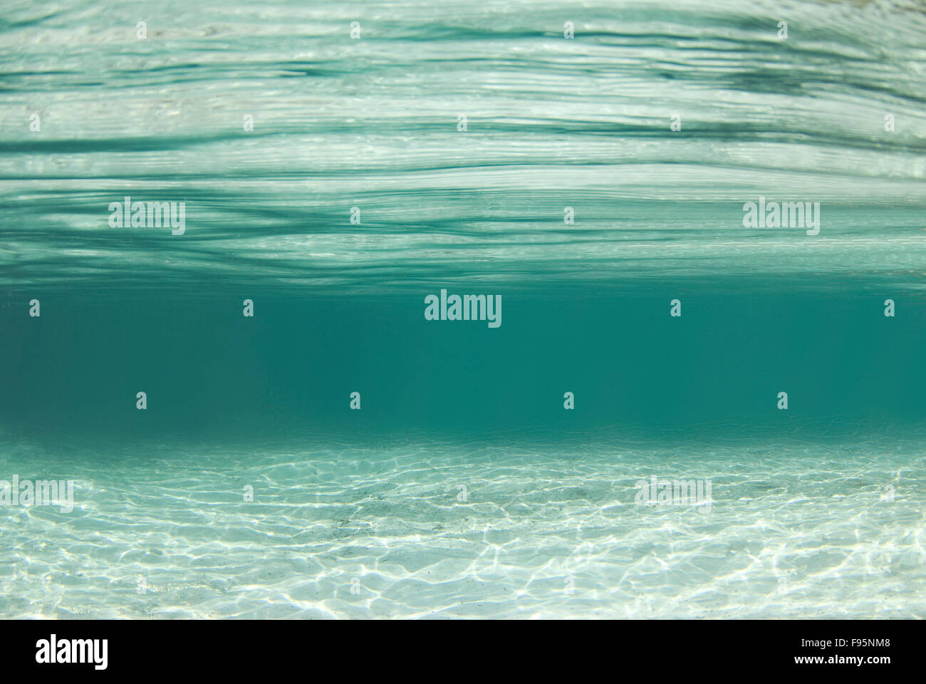 Crystal River Waterscape Stock Photo - Alamy