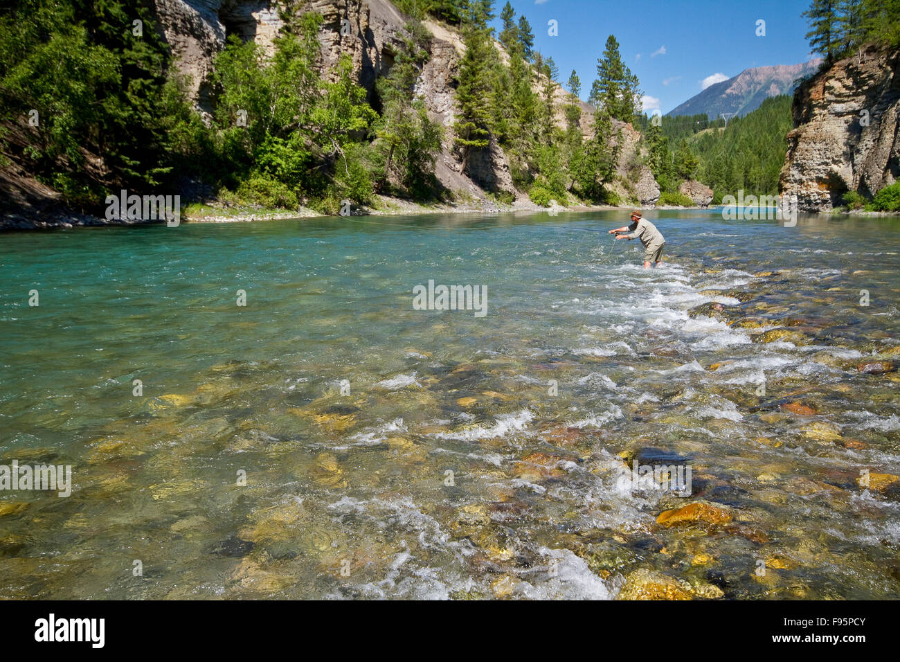 Middleaged man flyfishing on Bull river, East Kootenays, BC, Canada ...