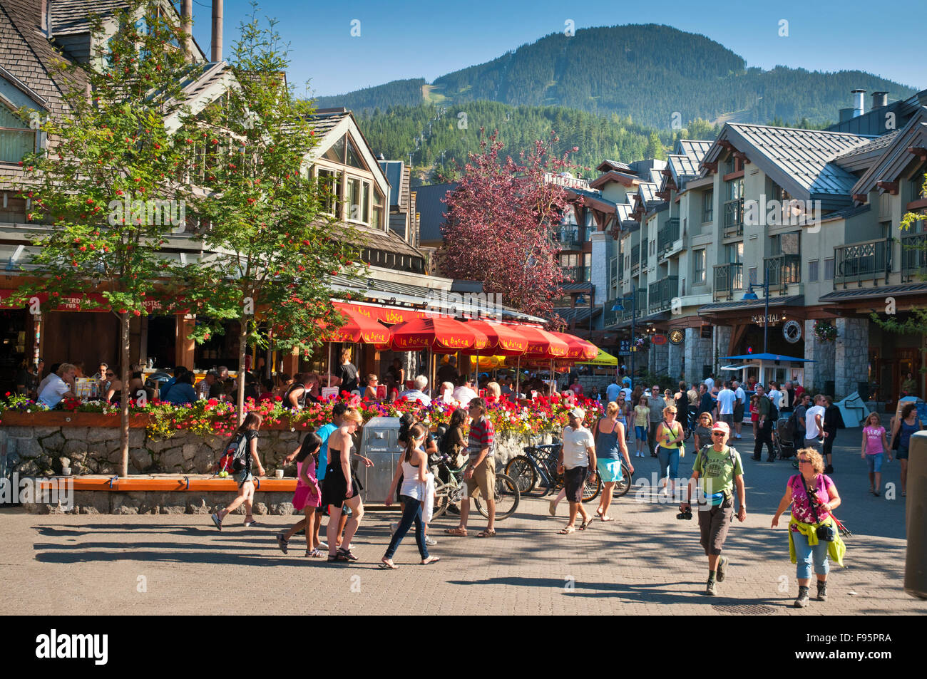 Whistler Mountain Summer