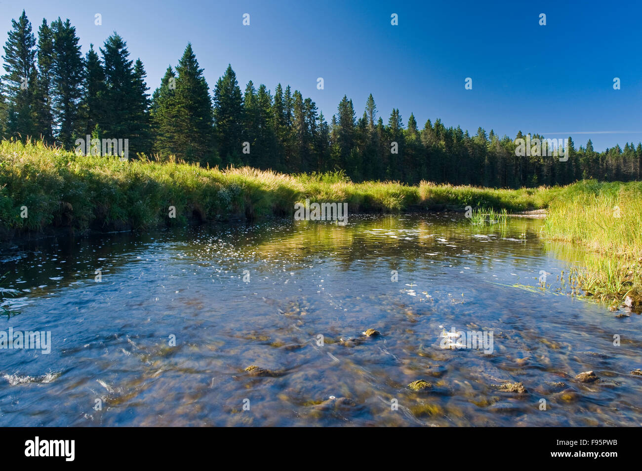Jackfish Creek, Riding Mountain National Park, Manitoba, Canada Stock ...