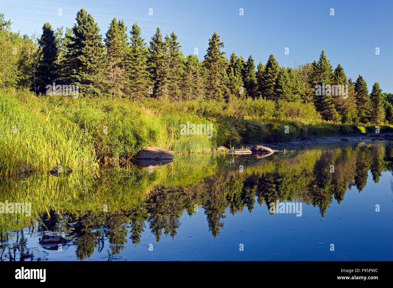 Jackfish Creek, Riding Mountain National Park, Manitoba, Canada Stock ...