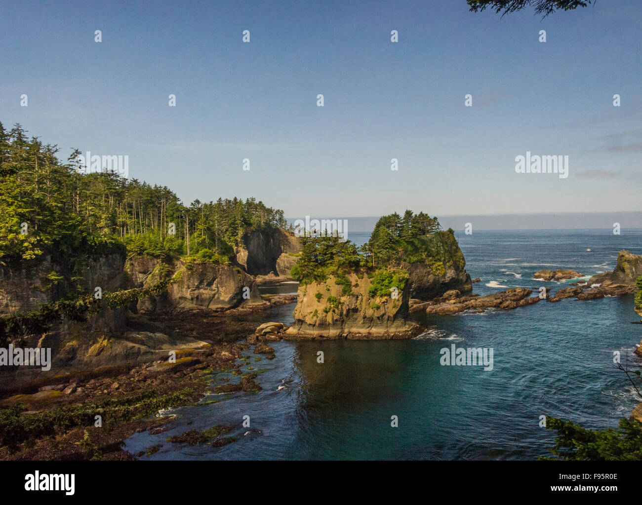 Tatoosh Island
