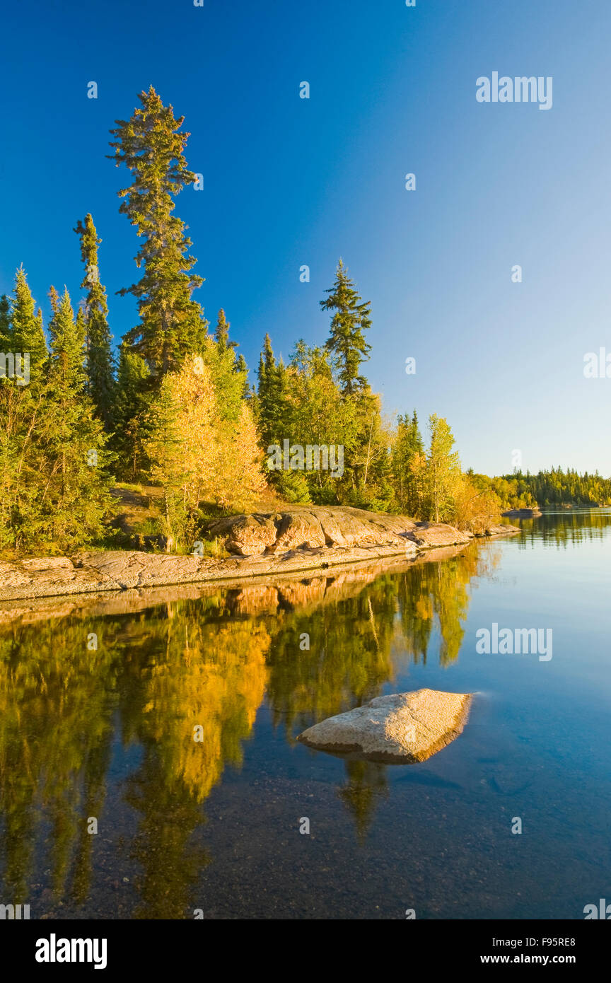 Devil tree hi-res stock photography and images - Alamy
