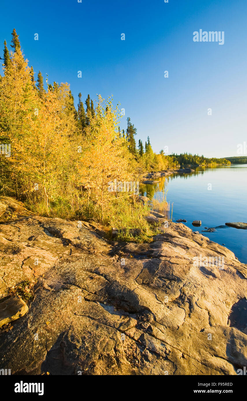 Lake water reflection autumn tree shore colour color tree hi-res stock ...