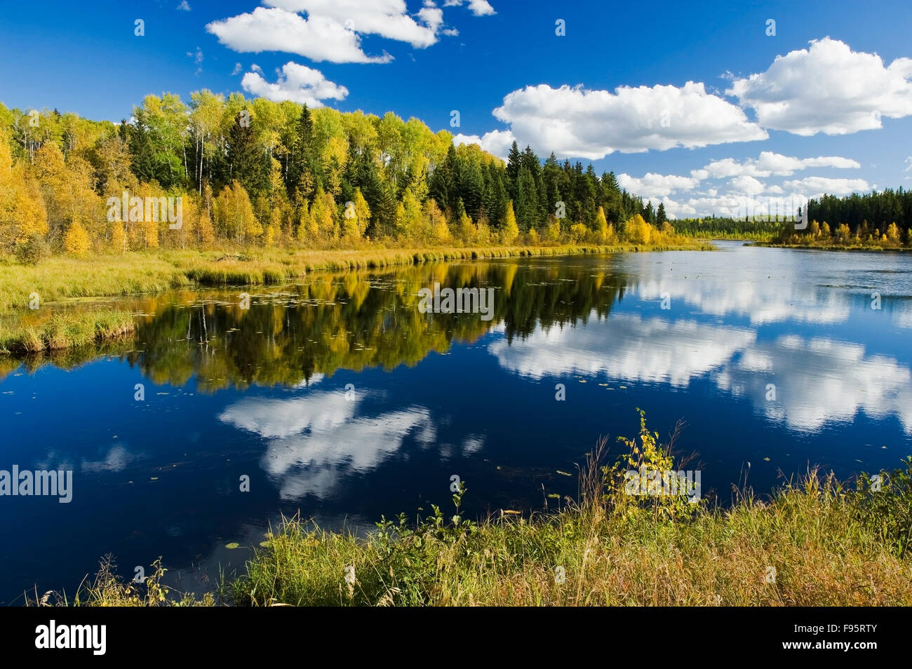 pond with autumn colours in the background, Prince Albert National Park ...