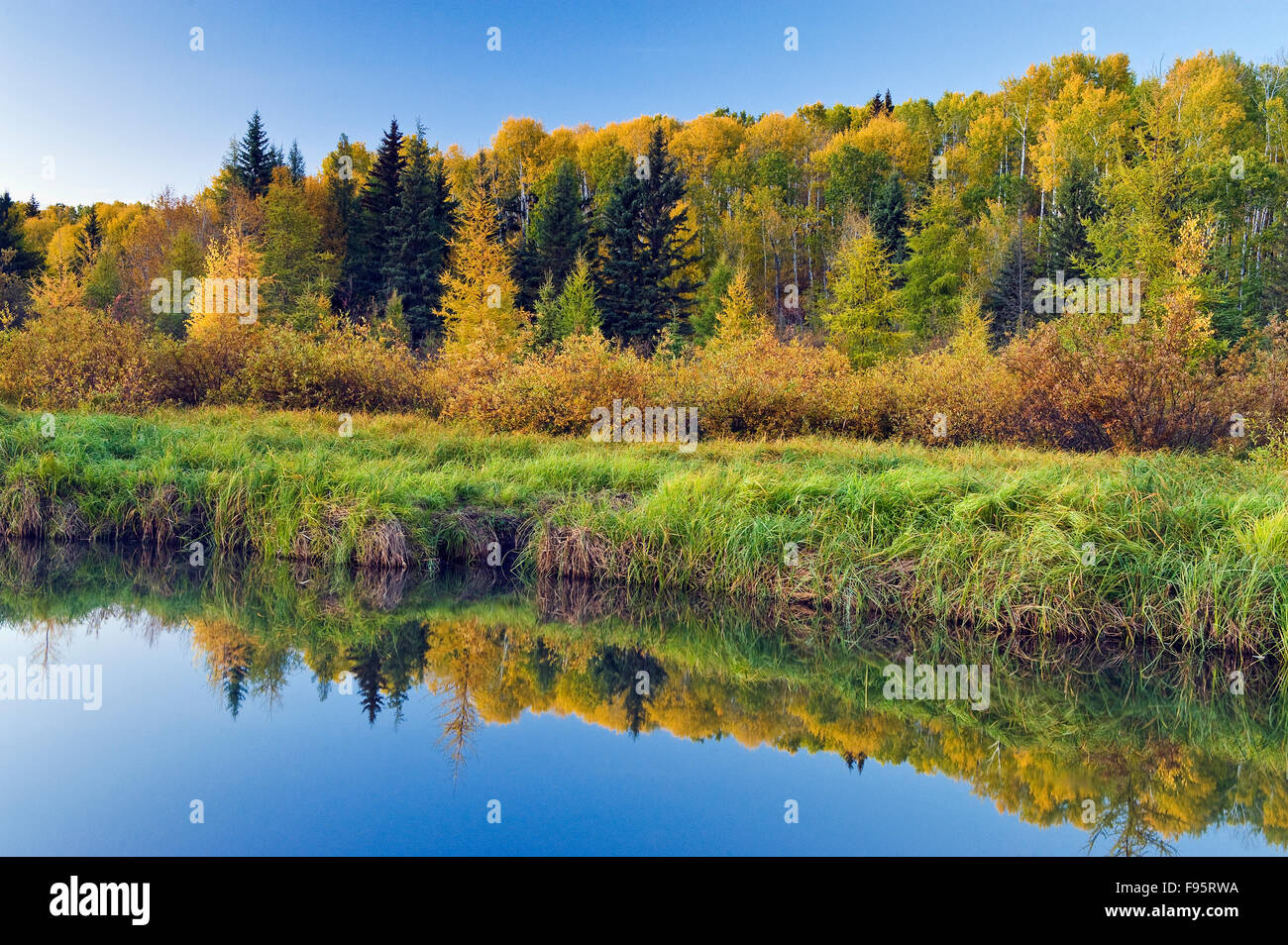 stream with autumn colours in the background, Prince Albert National ...