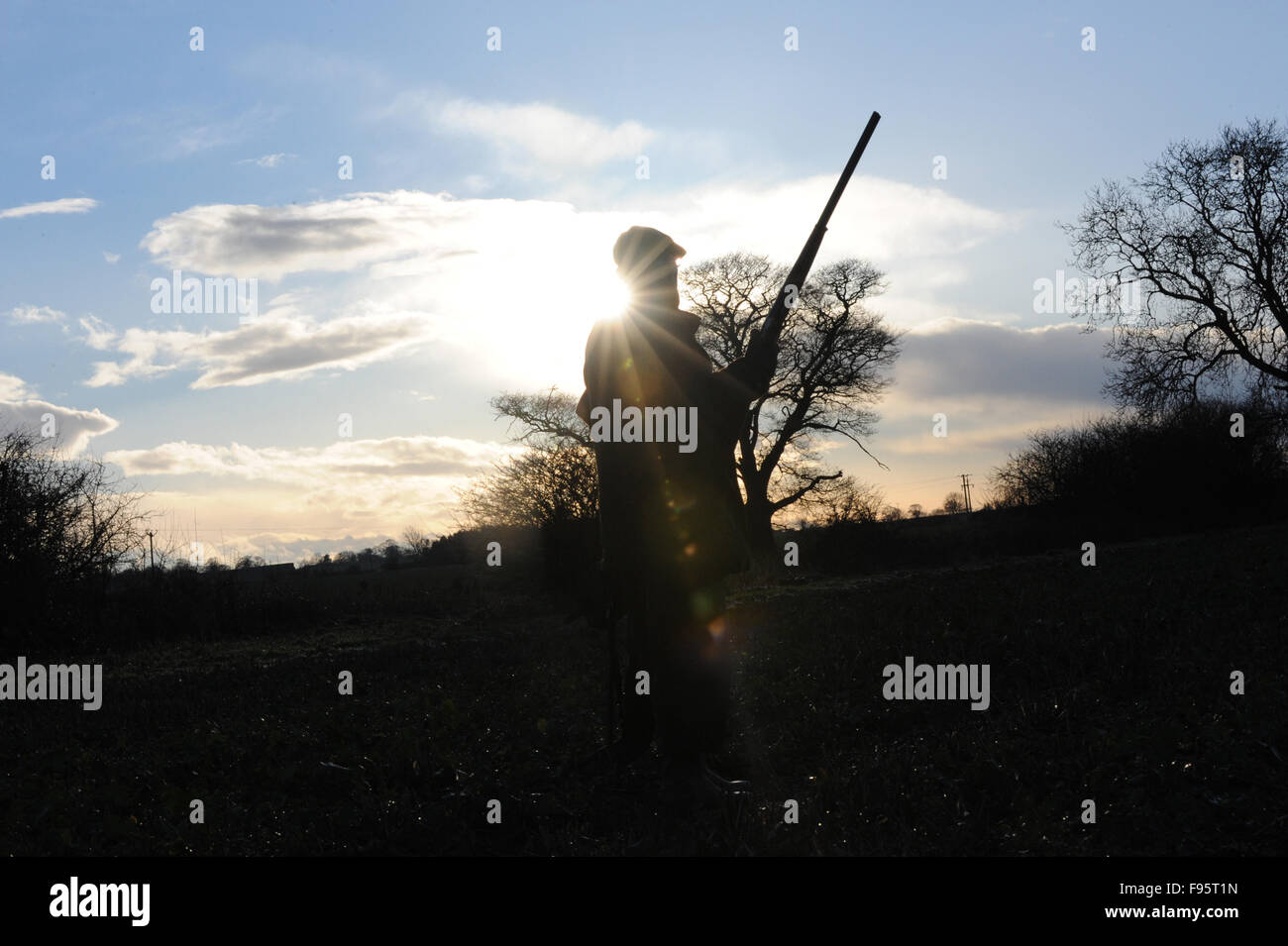 Game shooting U.K Stock Photo - Alamy