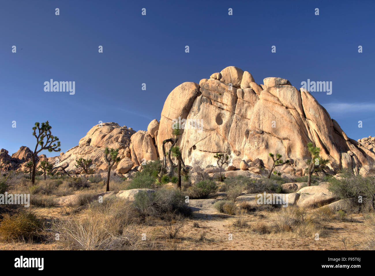 Joshua tree national park geology hi-res stock photography and images ...