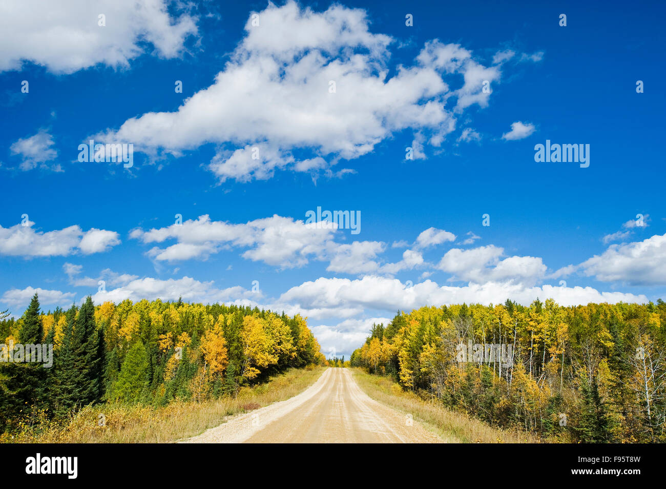 Boreal mountain hi-res stock photography and images - Alamy