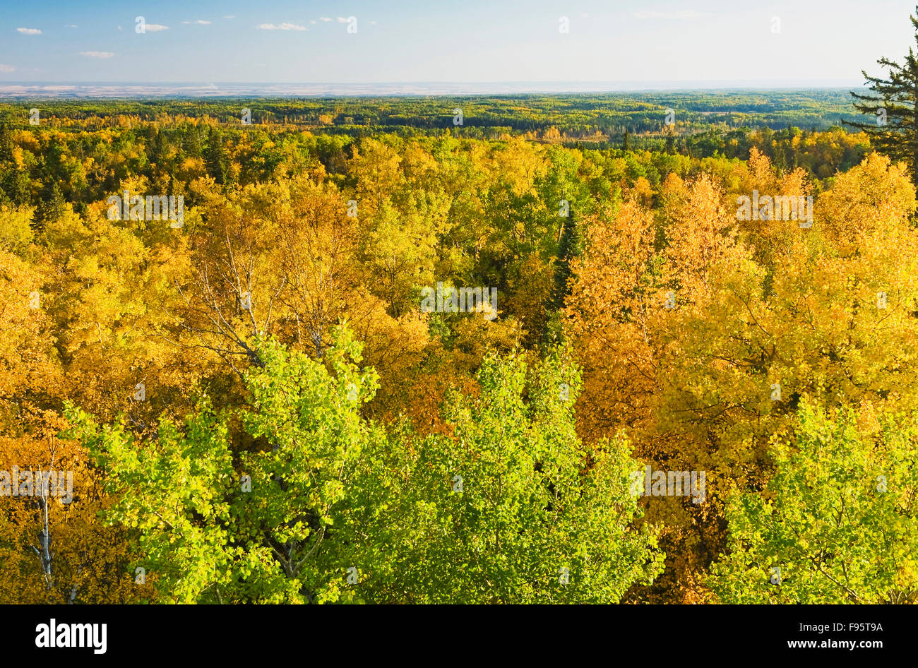 autumn view from Baldy Mountain, highest point in Manitoba, Duck ...