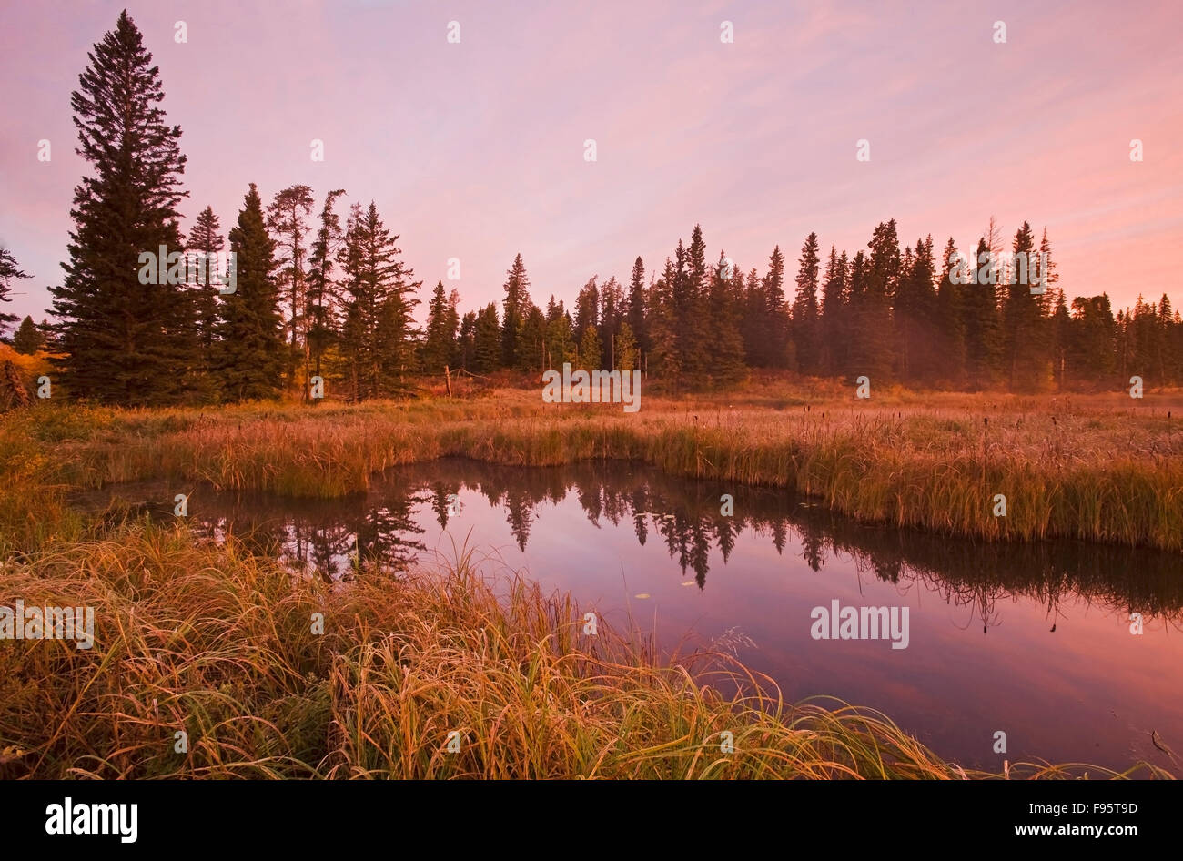 Rivers lakes manitoba hi-res stock photography and images - Alamy