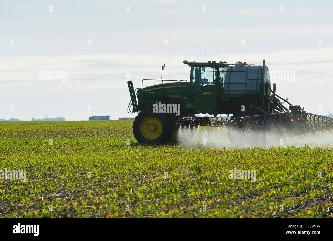 a high clearance sprayer gives a chemical application of herbicide to ...
