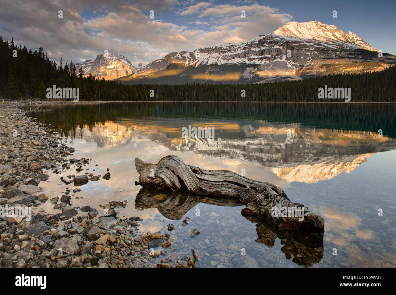 Outram park High Resolution Stock Photography and Images - Alamy