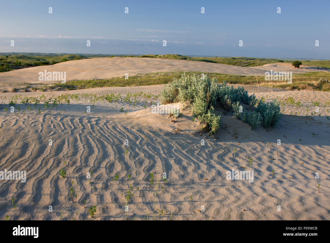 Sceptre Saskatchewan High Resolution Stock Photography and Images - Alamy