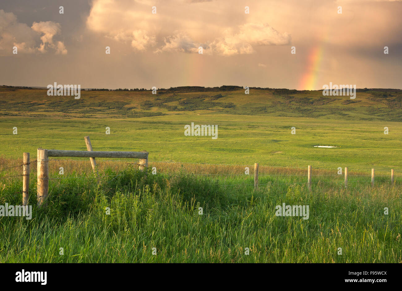 Rainbow pasture hi-res stock photography and images - Alamy