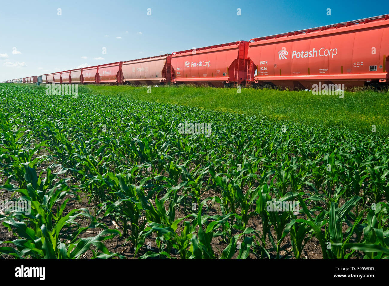 Freight trains carrying grain hi-res stock photography and images - Alamy