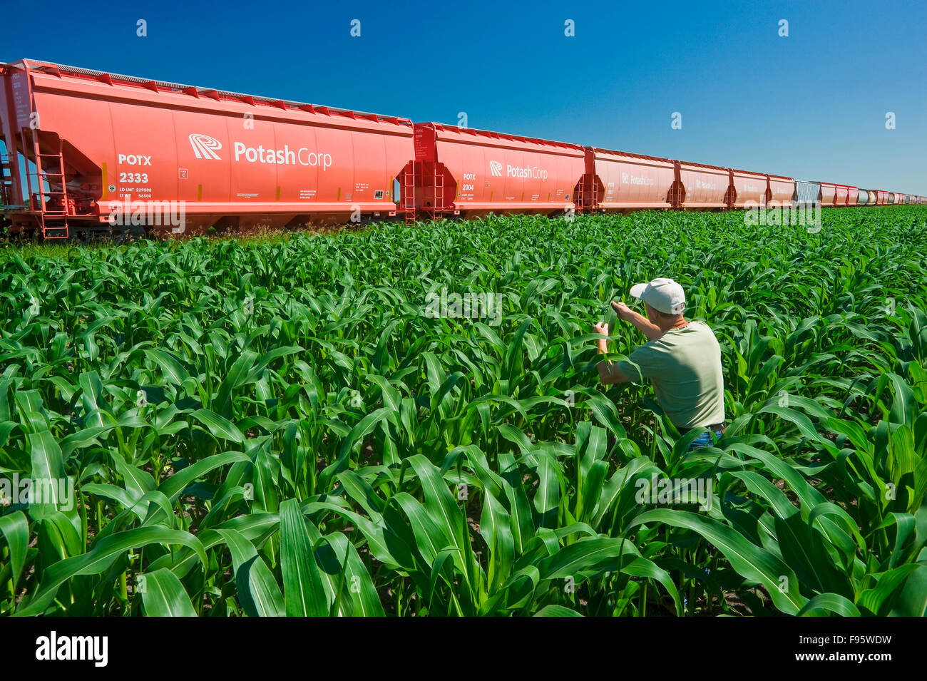 Railroad hopper cars hi-res stock photography and images - Alamy