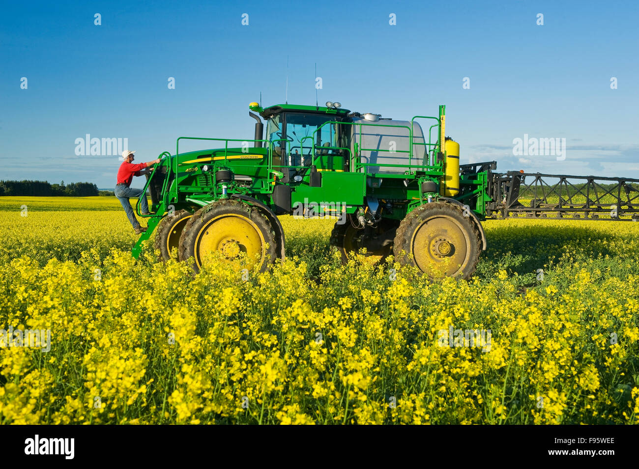 man on high clearance which was sprayer applying fungicide on a bloom ...