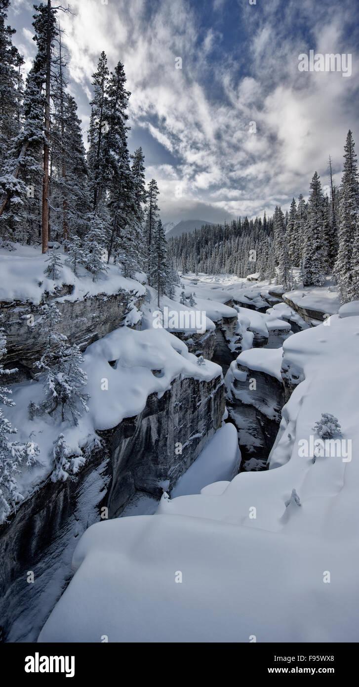 Mistaya Canyon, Banff National Park, Alberta, Canada Stock Photo - Alamy