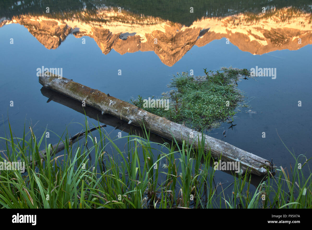 Island Lake and the Lizard Range near Fernie, British Columbia Stock ...