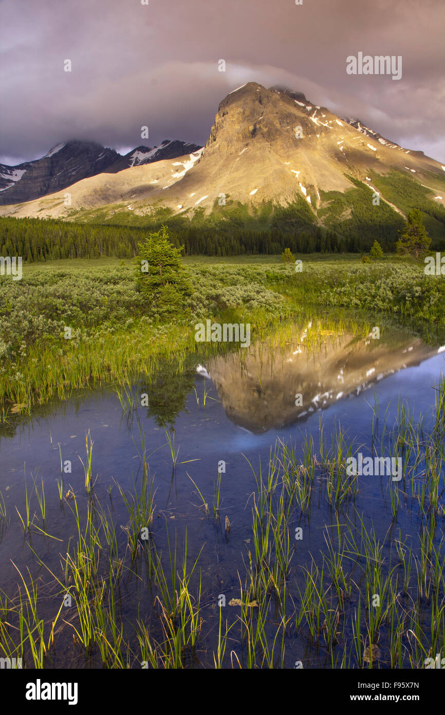 Mount wilson alberta hi-res stock photography and images - Alamy