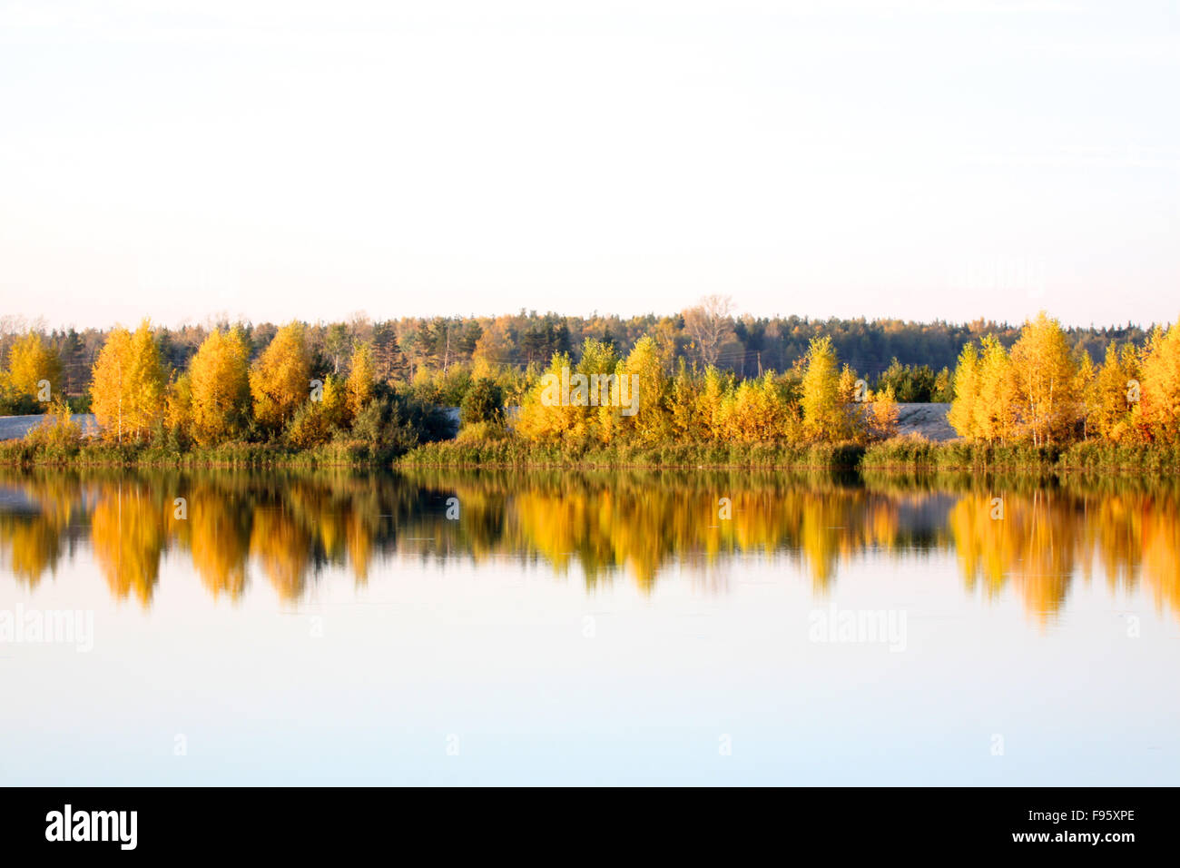 Beautiful landscape. Field and edge of forest Russia Stock Photo - Alamy