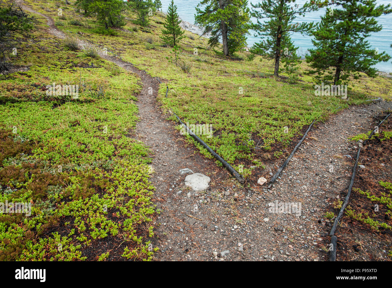 The Plains Of Abraham Stock Photos & The Plains Of Abraham Stock Images ...