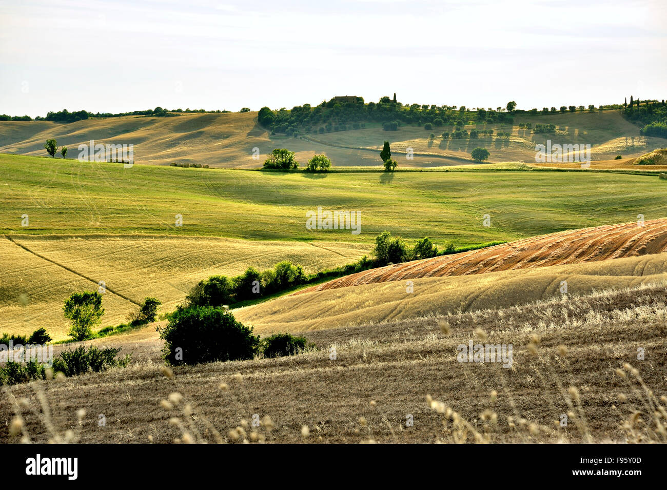 Rolling hills of different colors in soft light, Tuscany, Italy Stock ...