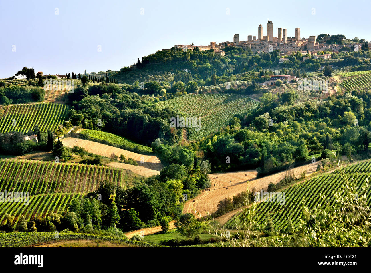 Tuscan landscape with vine yards and fields on hills crowned by the ...