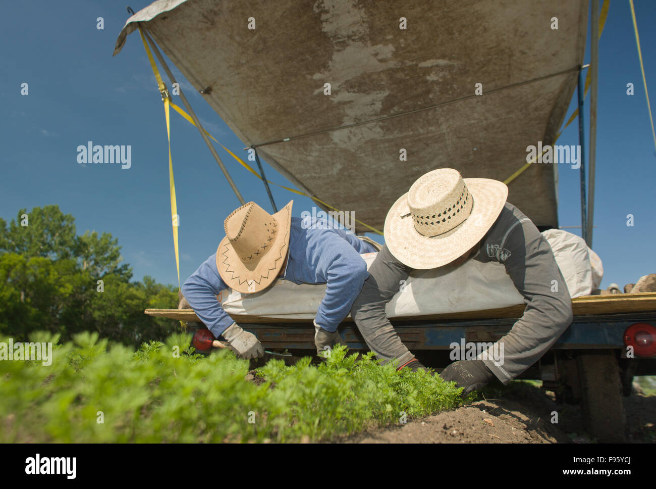Strathmore hi-res stock photography and images - Alamy