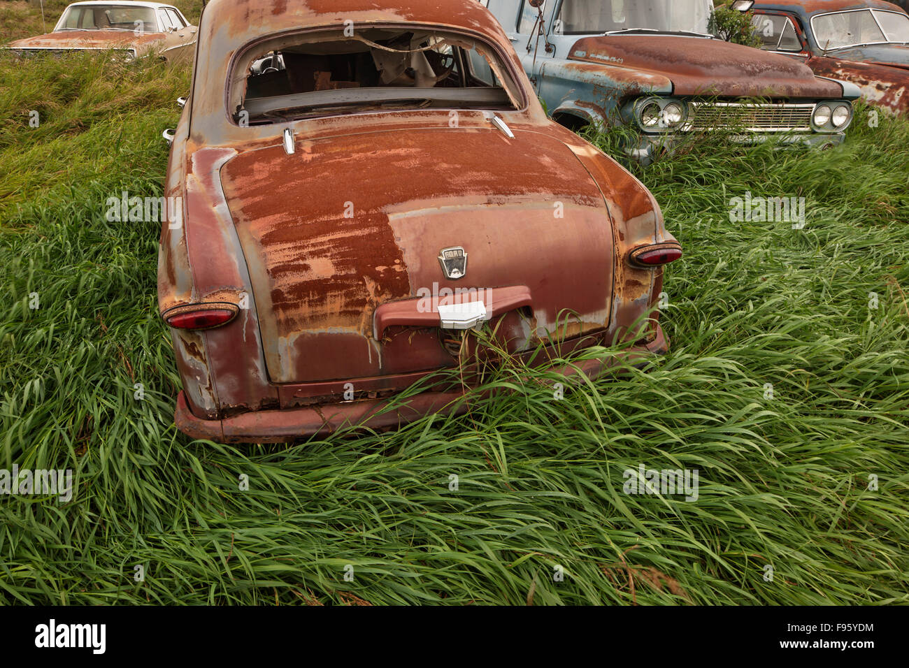 Alberta Classic High Resolution Stock Photography and Images - Alamy