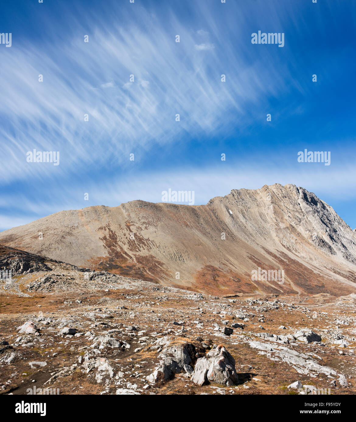 From Wilcox Pass High Resolution Stock Photography and Images - Alamy