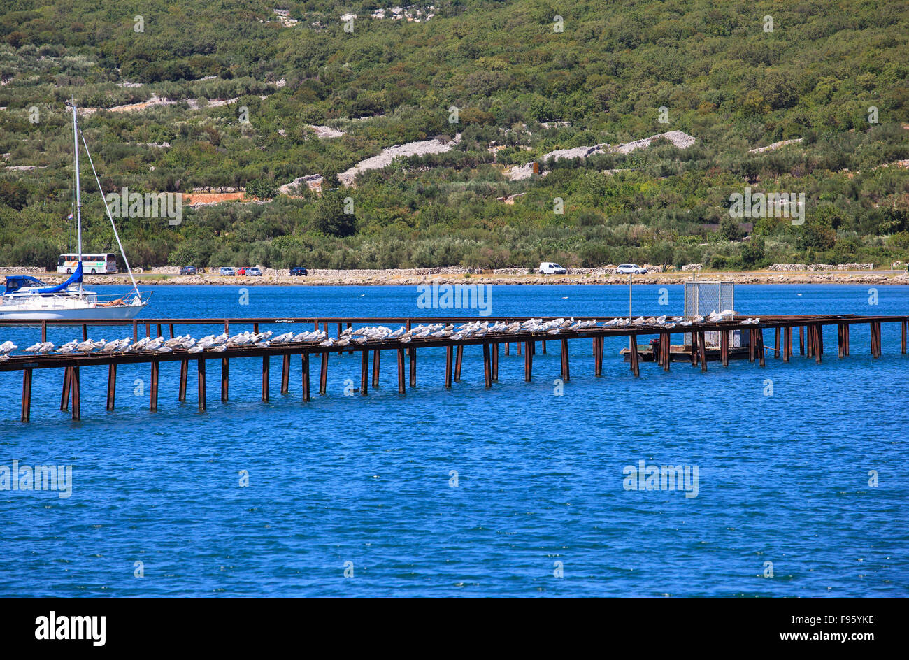 Punat hi-res stock photography and images - Alamy