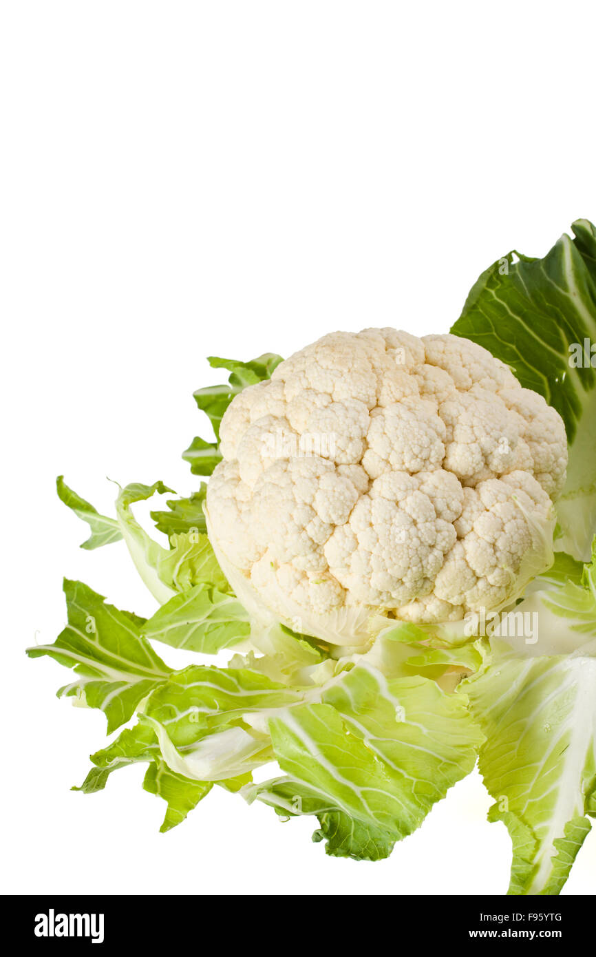 single cauliflower vegetable isolated on white Stock Photo - Alamy