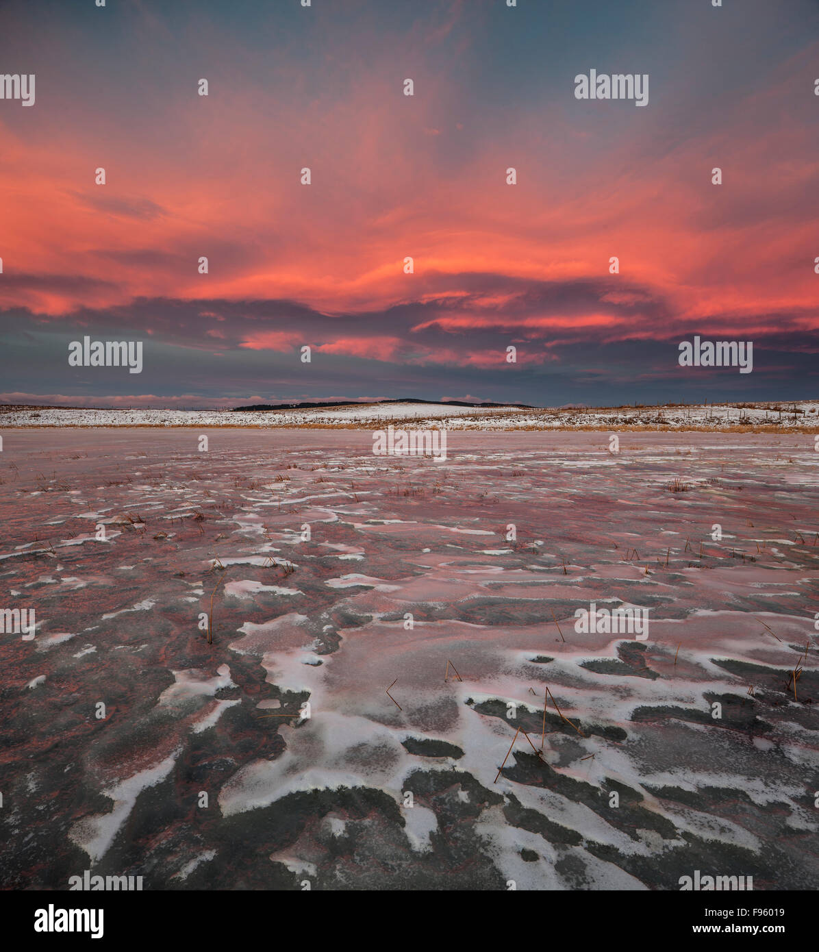 In prairie slough hi-res stock photography and images - Alamy