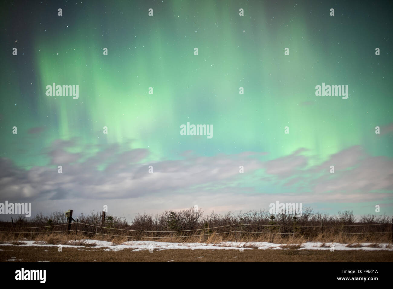 Prairie in snow hi-res stock photography and images - Alamy