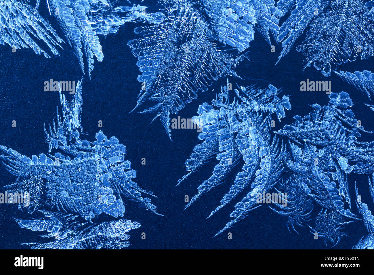 Frost patterns on steel beam on bridge over Mistaya Canyon, Banff ...