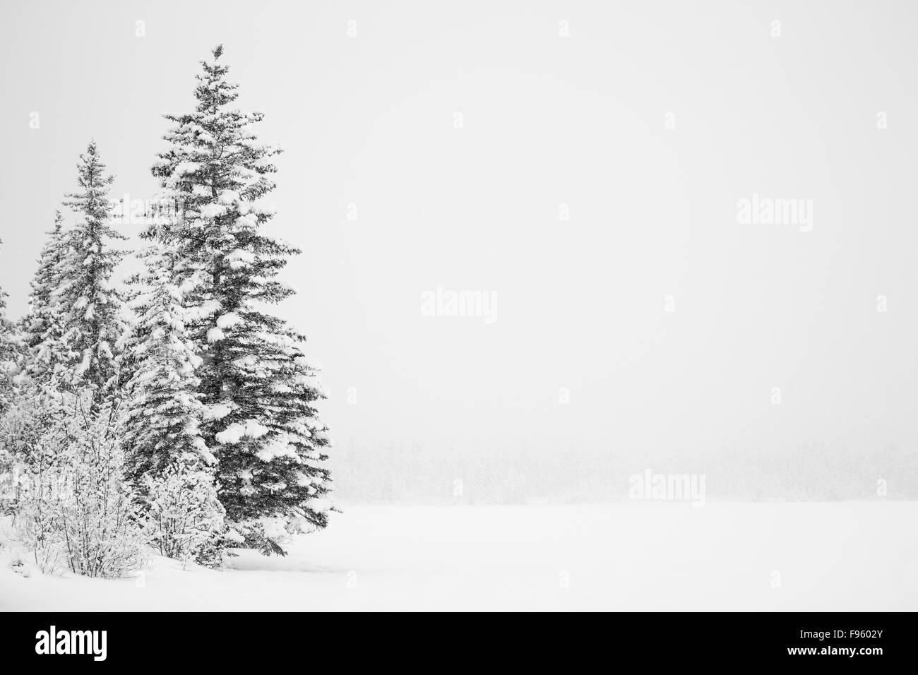 Jasper national park winter hi-res stock photography and images - Alamy