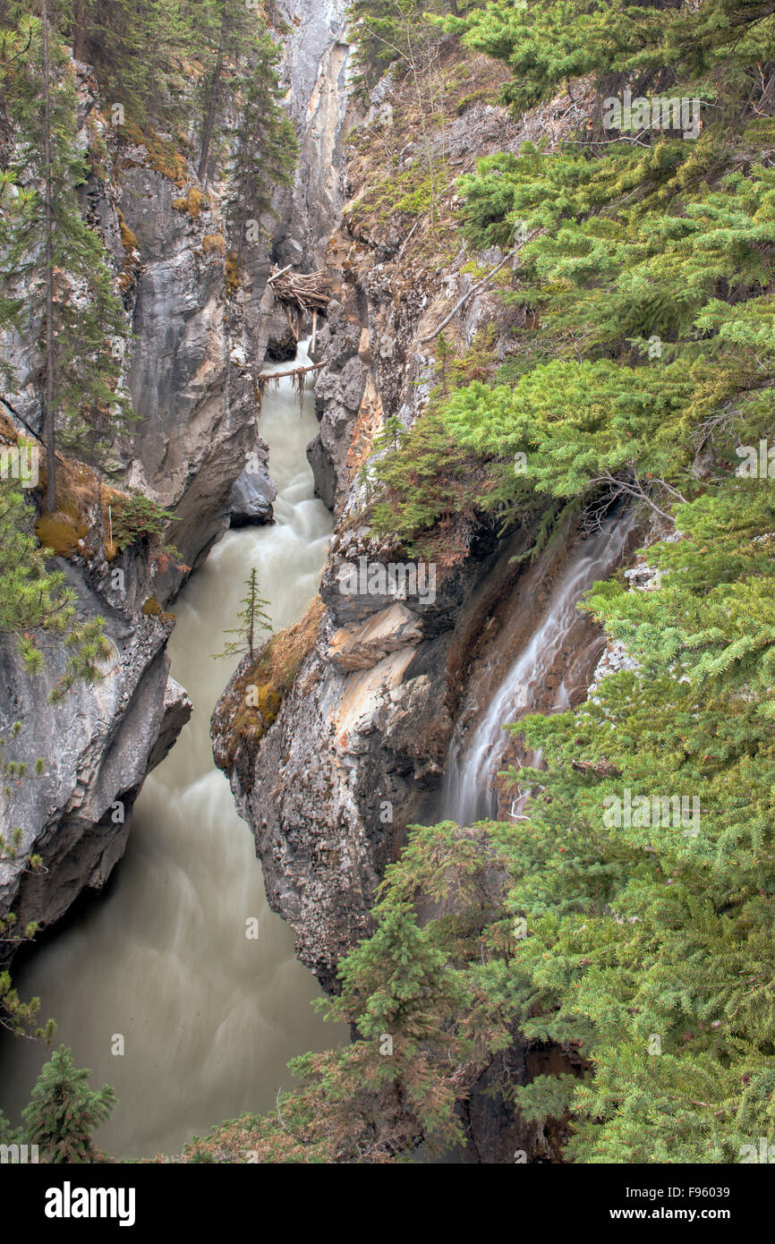 Cline river alberta hi-res stock photography and images - Alamy