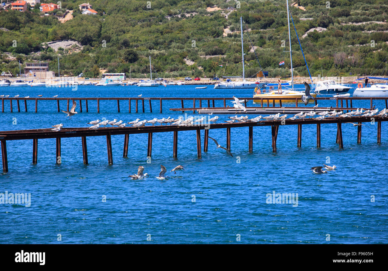 Punat hi-res stock photography and images - Alamy