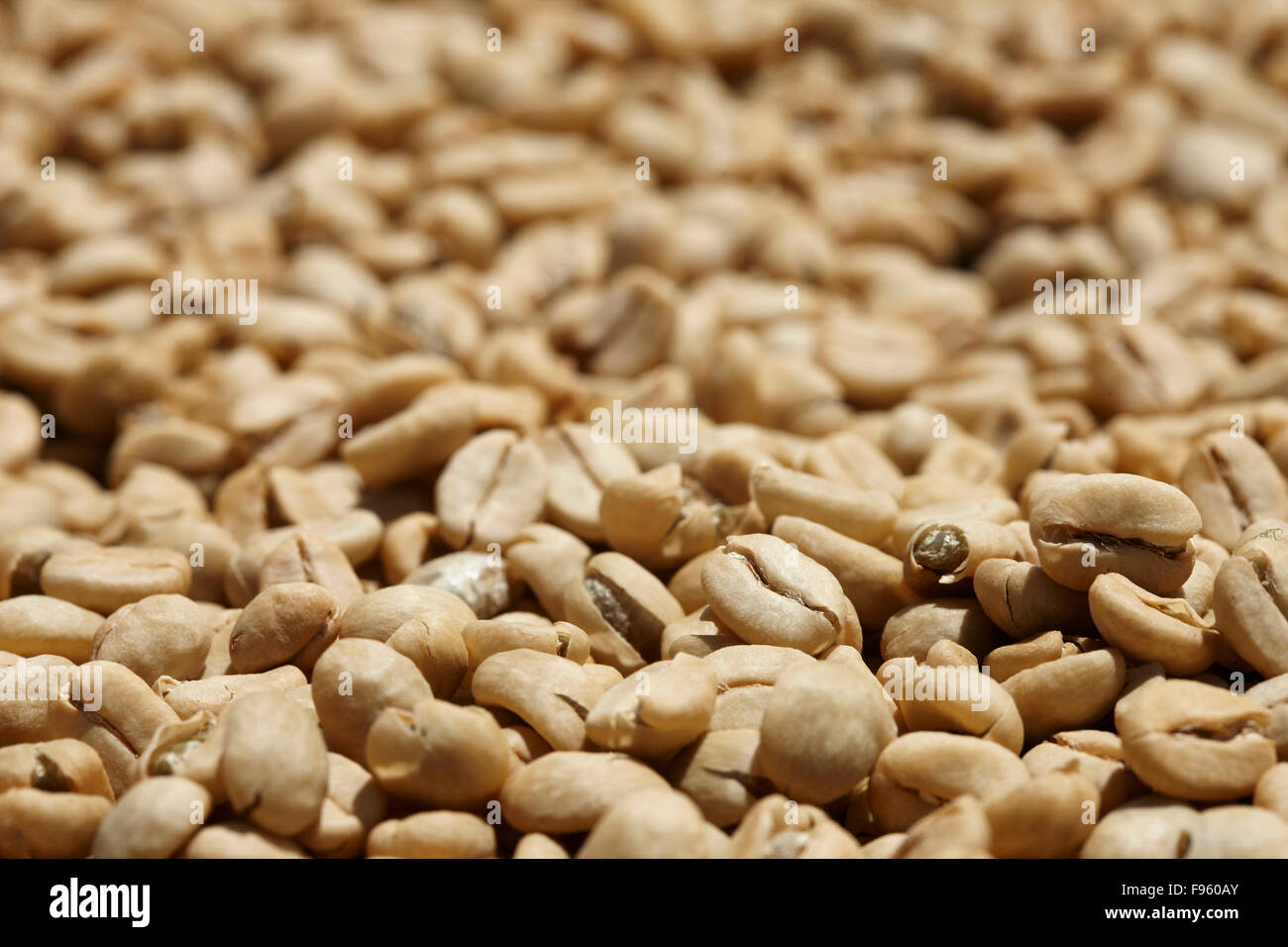 Sun drying beans hi-res stock photography and images - Alamy