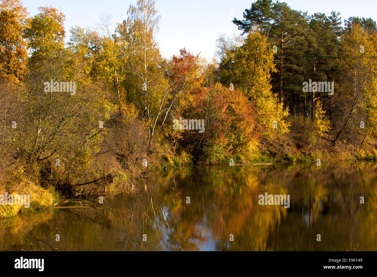 Beautiful landscape. Field and edge of forest Russia Stock Photo - Alamy
