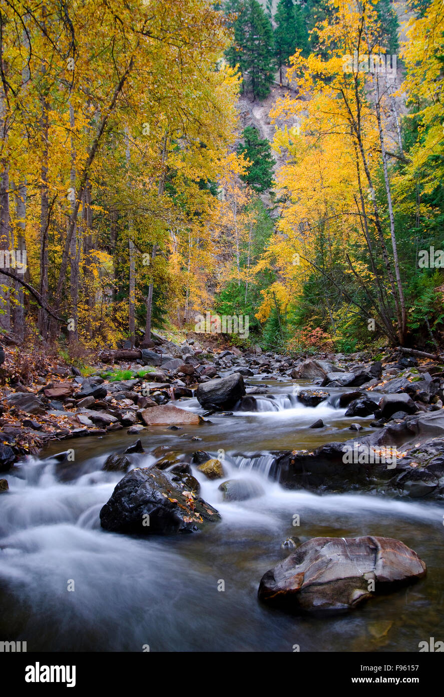 Chase Creek in the fall, Chase, British Columbia, Canada Stock Photo ...