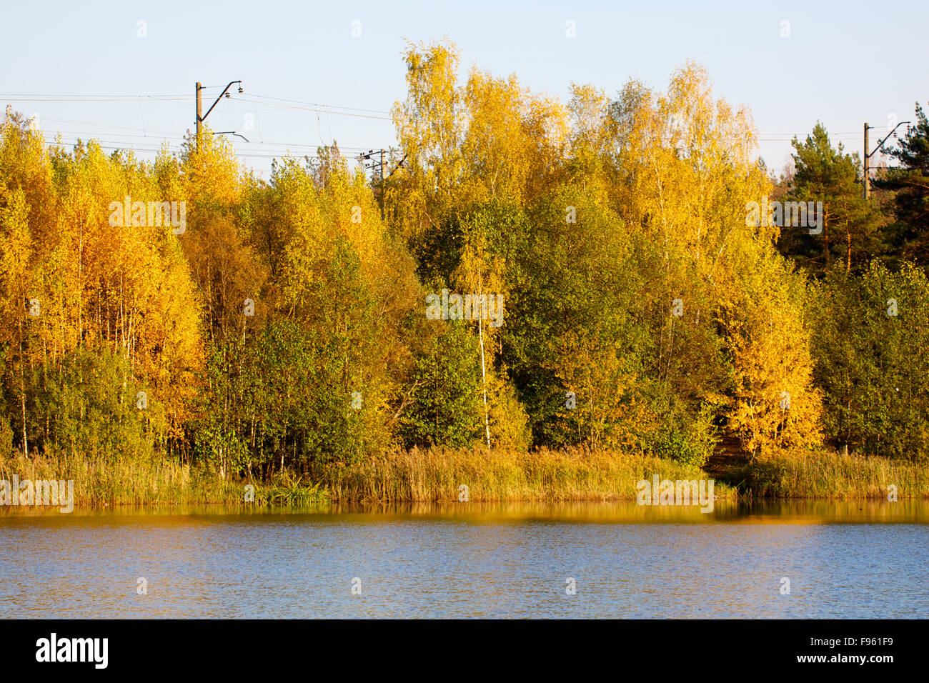 Beautiful landscape. Field and edge of forest Russia Stock Photo - Alamy