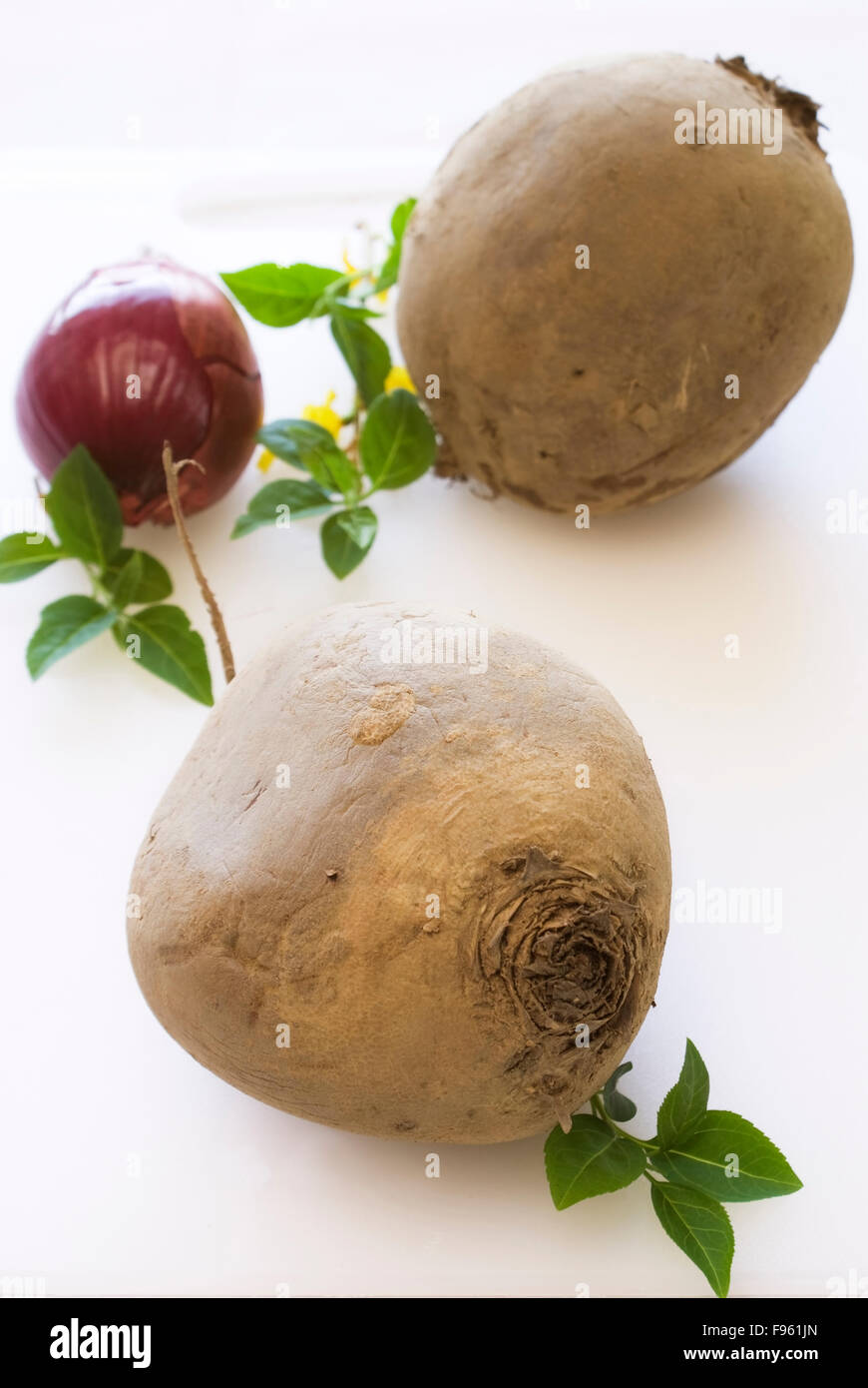 Beetroot head hi-res stock photography and images - Alamy