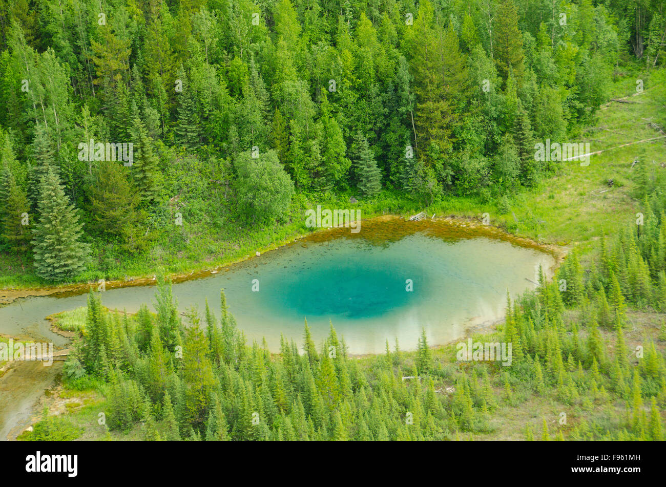 Deer River Hotsprings, northern British Columbia Stock Photo - Alamy